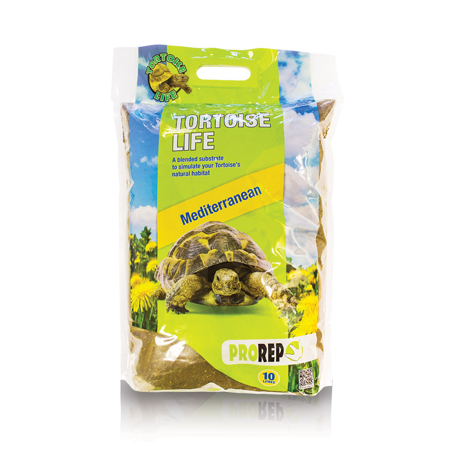 Reptile Substrates Available to Buy Online | Evolution Reptiles