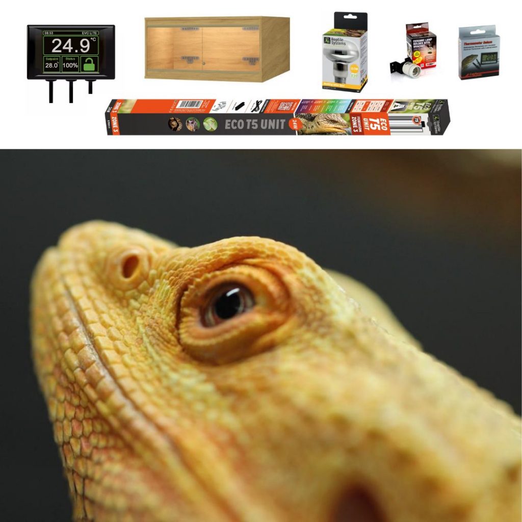 Specialist Reptile Shop In Oxford | Reptile Supplies For Sale