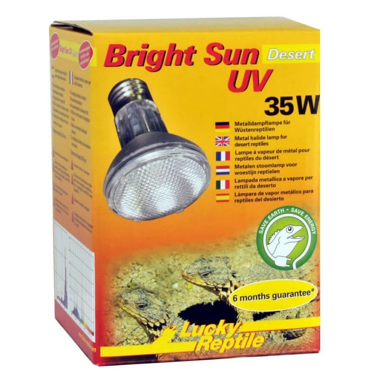 Arcadia ProT5 UVB Kit 6% Forest | Evolution Reptiles
