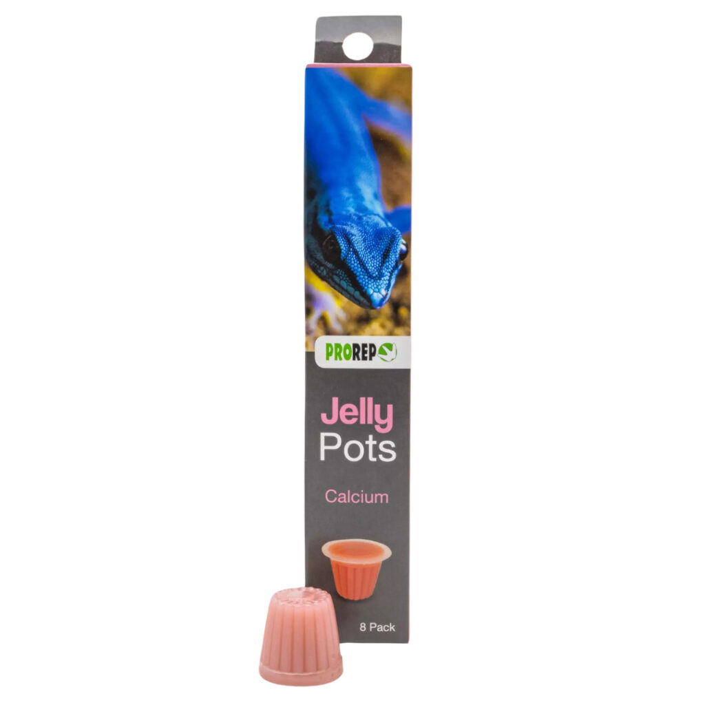 ProRep Jelly Pots, Bug Booster, Calcium | Evolution Reptiles