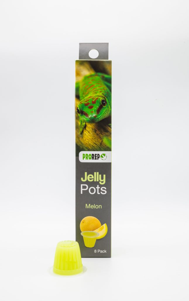 ProRep Jelly Pots, Melon | Evolution Reptiles