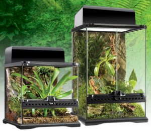 Exo Terra Mini Terrarium | Evolution Reptiles