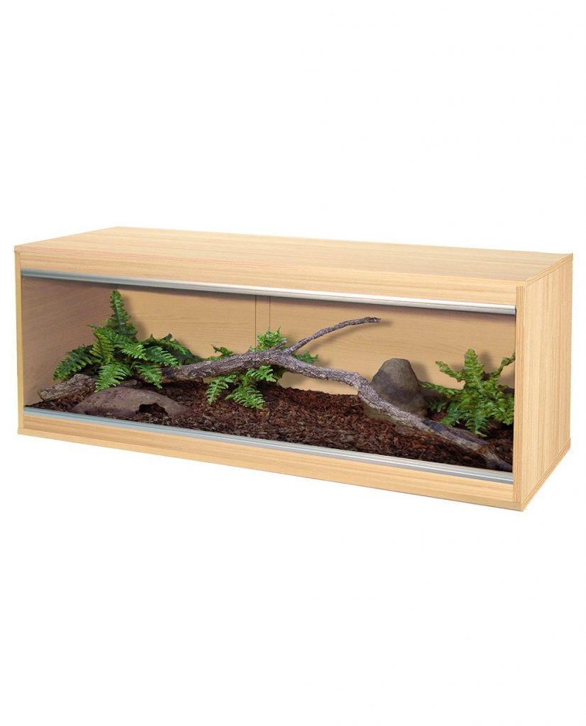 VivExotic Repti-Home Large Vivarium | Vivarium for Sale | Evolution ...
