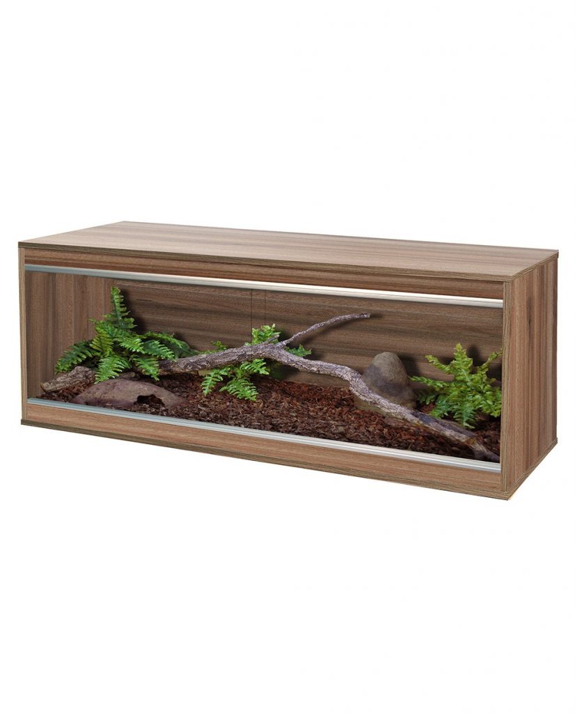 VivExotic Repti-Home Large Vivarium | Vivarium for Sale | Evolution ...