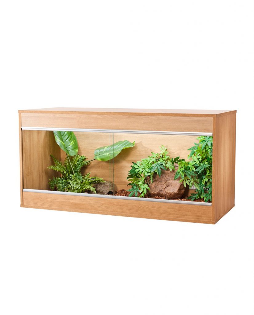VivExotic Maxi Large Vivarium | Wooden Vivariums | Evolution Reptiles