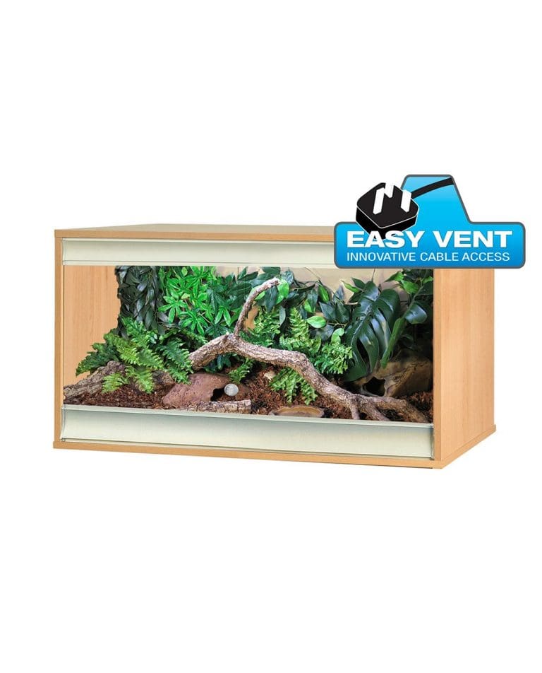 Hognose Snake Vivarium Set Up | Evolution Reptiles