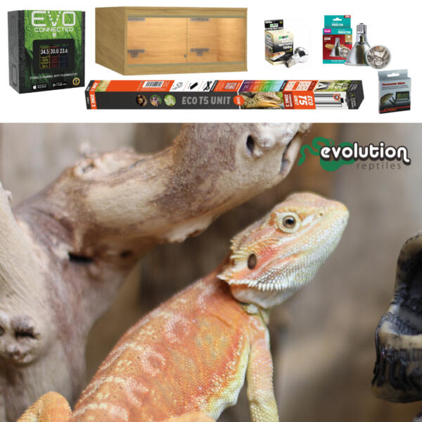 Specialist Reptile Shop In Oxford | Reptile Supplies For Sale