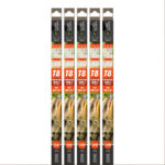 Reptile Systems Specialist T8 Zone 3 | Evolution Reptiles