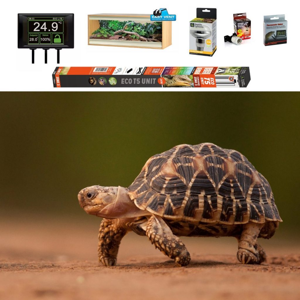 Leopard Gecko Terrarium Set Up - Premium Large | Evolution Reptiles