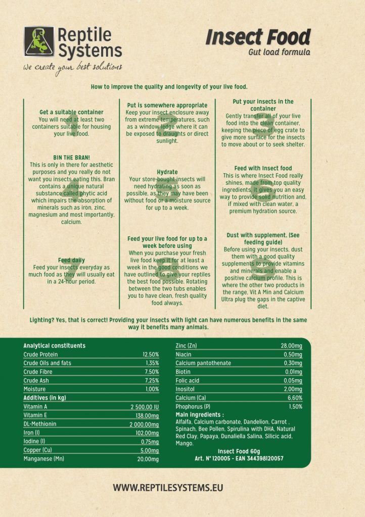 Reptile Systems Insect Food | Evolution Reptiles