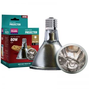 Arcadia Deep Heat Projector 80W | Evolution Reptiles