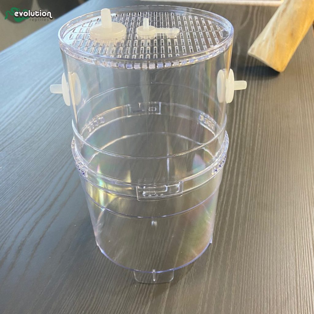 Plastic Terrariums | Evolution Reptiles