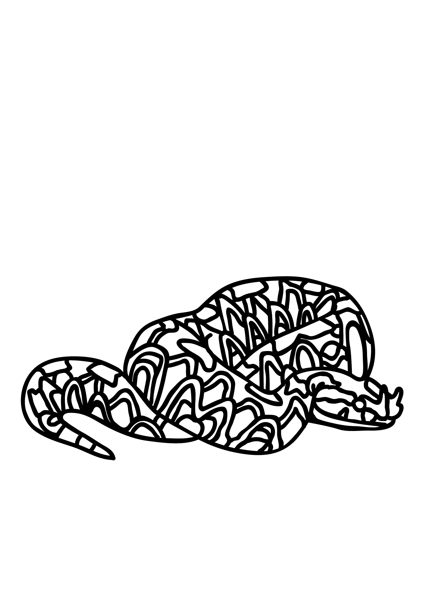 Free Colouring Sheets | Evolution Reptiles