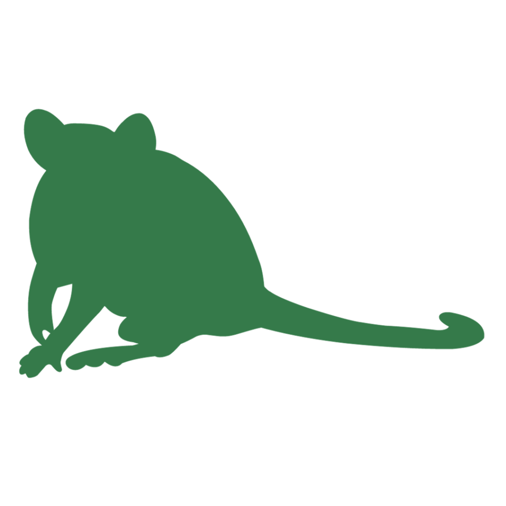 Frozen Reptile Food | Evolution Reptiles