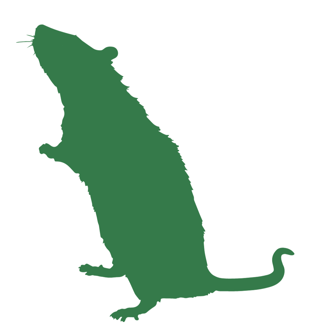 Frozen Reptile Food | Evolution Reptiles