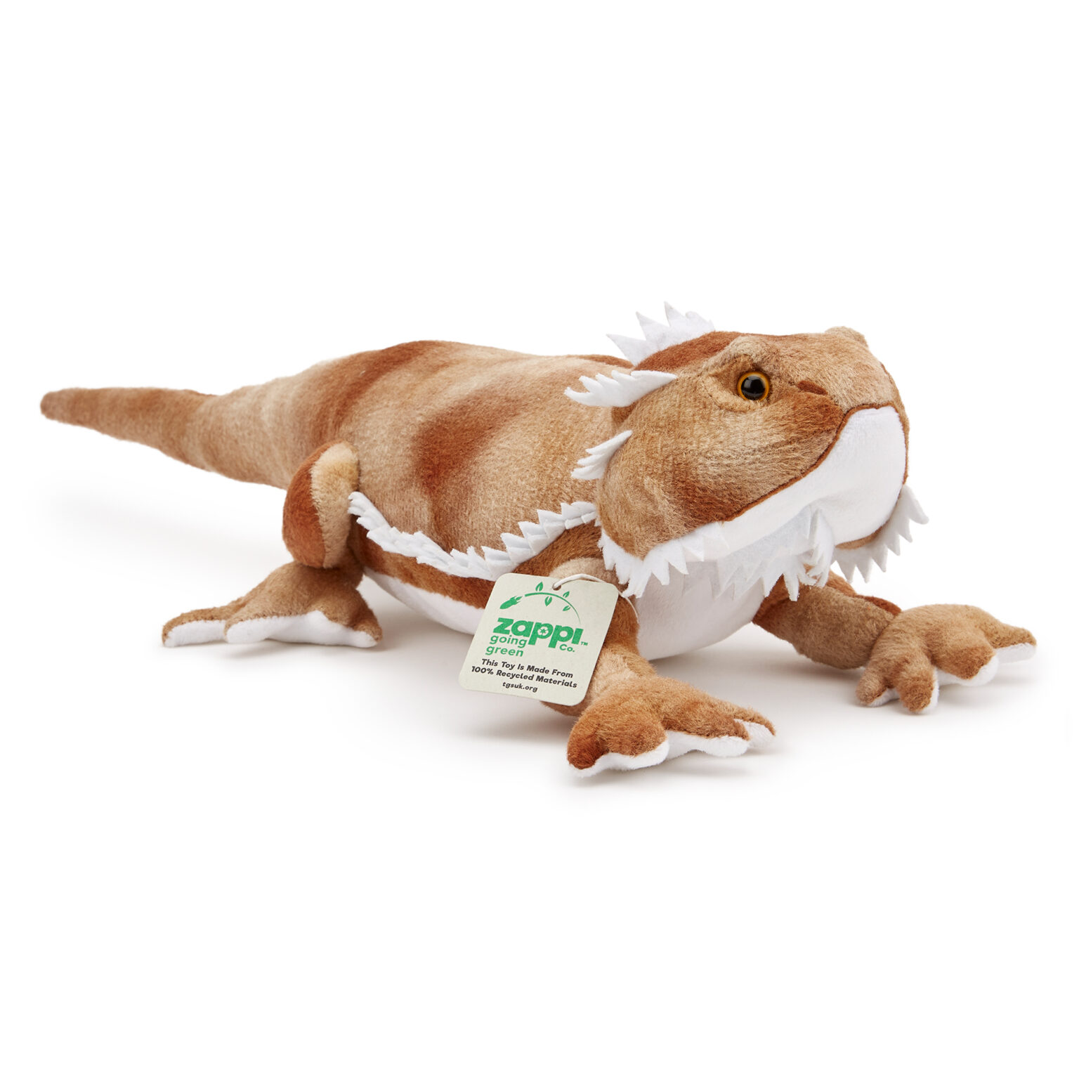 Specialist Reptile Shop In Oxford | Reptile Supplies For Sale