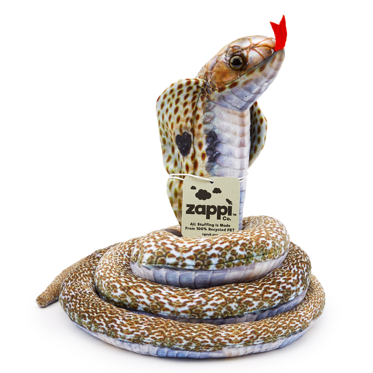 Specialist Reptile Shop In Oxford | Reptile Supplies For Sale