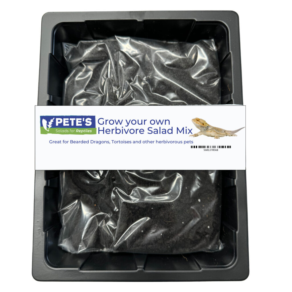 Specialist Reptile Shop In Oxford | Reptile Supplies For Sale