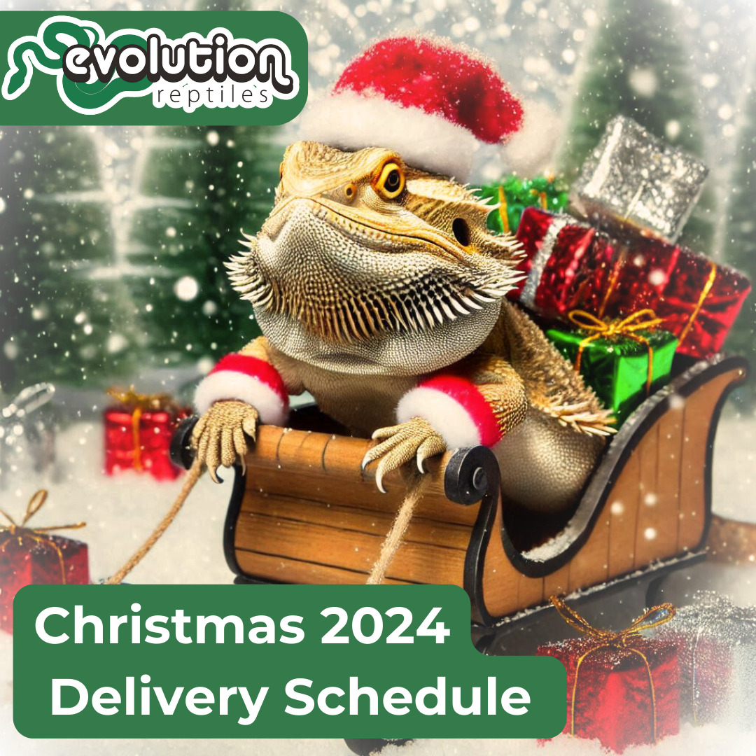 Christmas Delivery Schedule 2024 | Evolution Reptiles